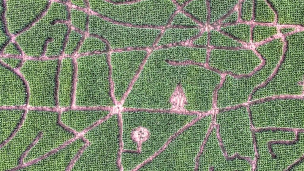 Ohio Maze Tour - Ramseyer Farms