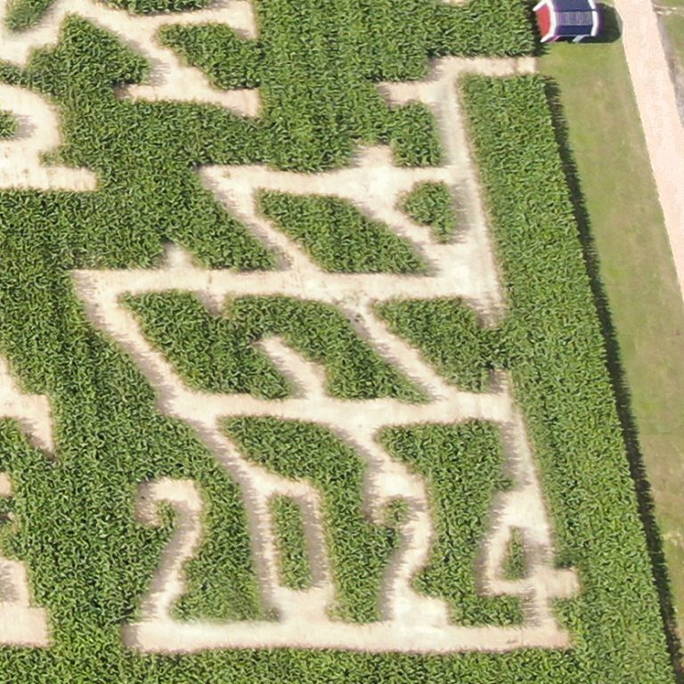 Corn Mazes - Ramseyer Farms